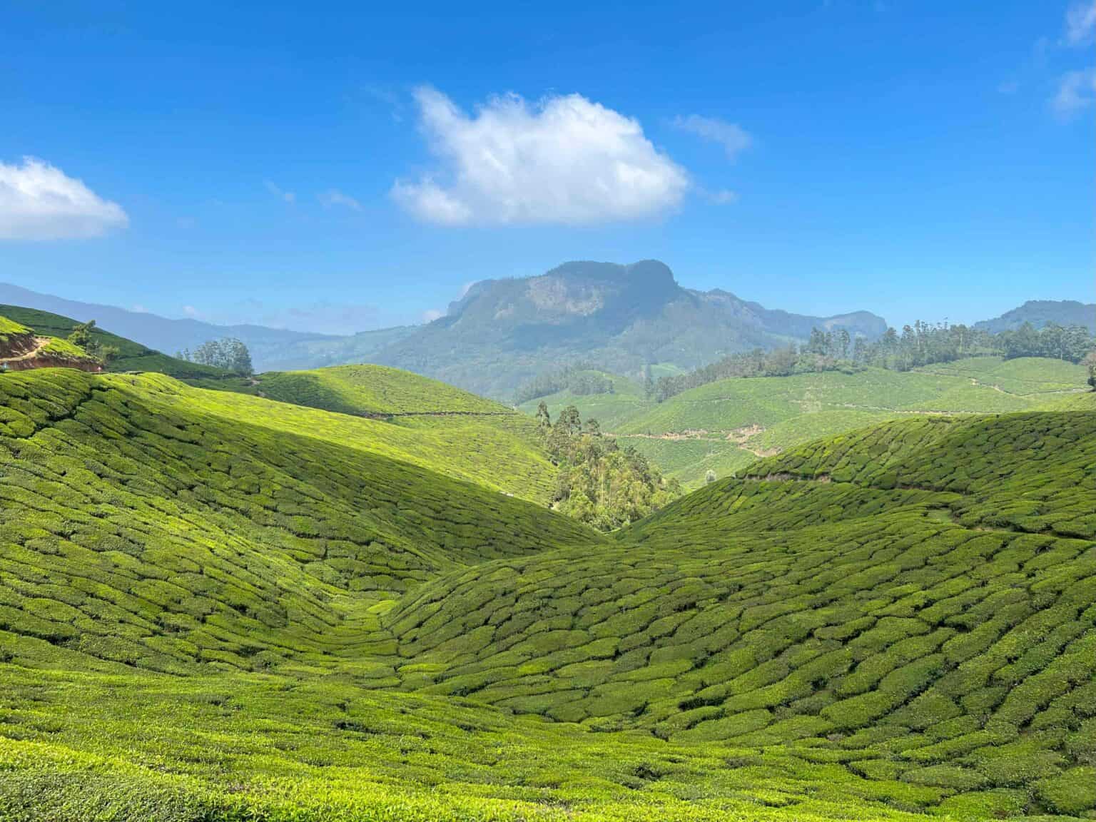 Explore Beyond the Golden Triangle: Unique India Itineraries
